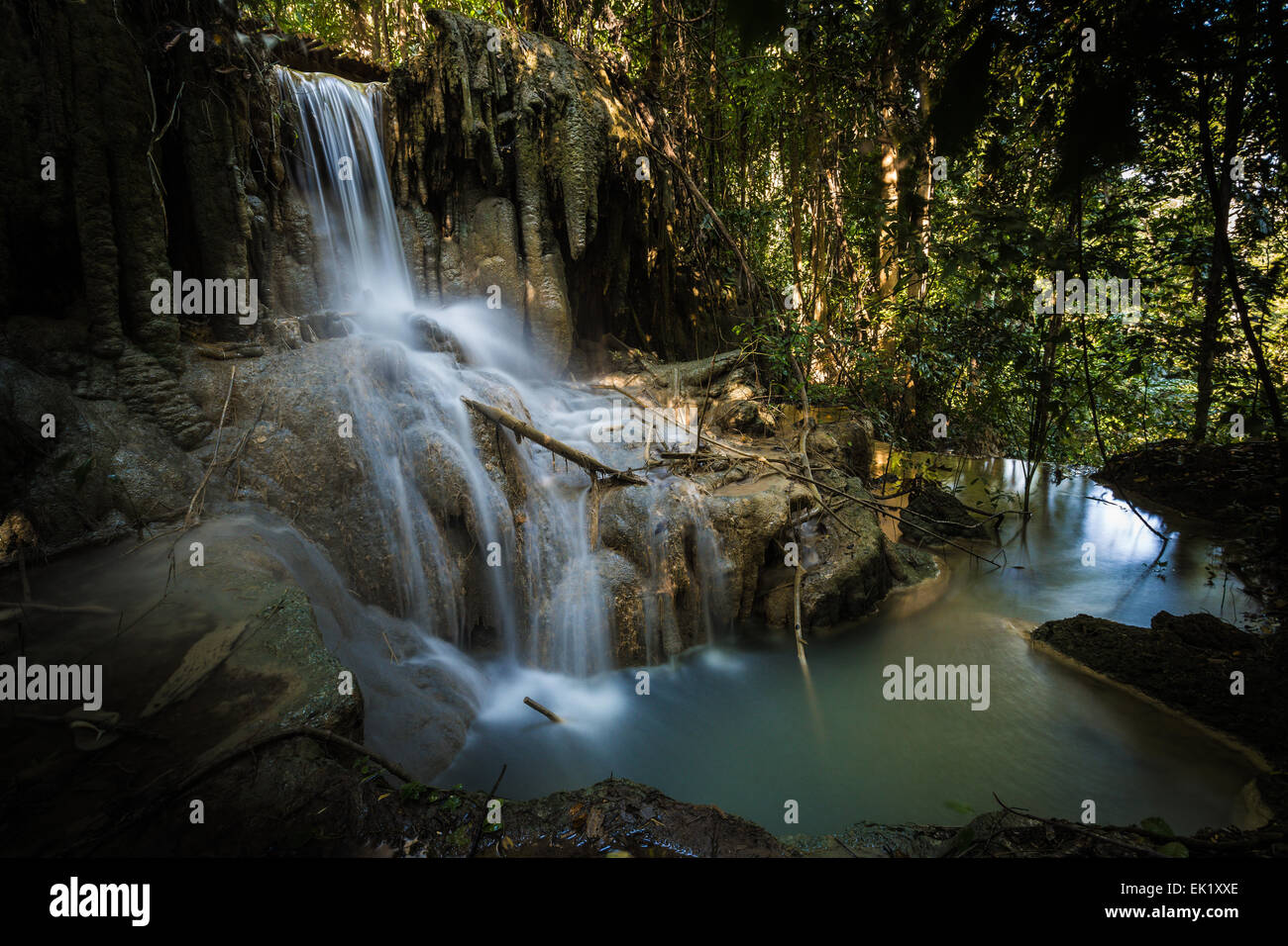 Amazon rainforest bridge wood hi-res stock photography and images - Alamy