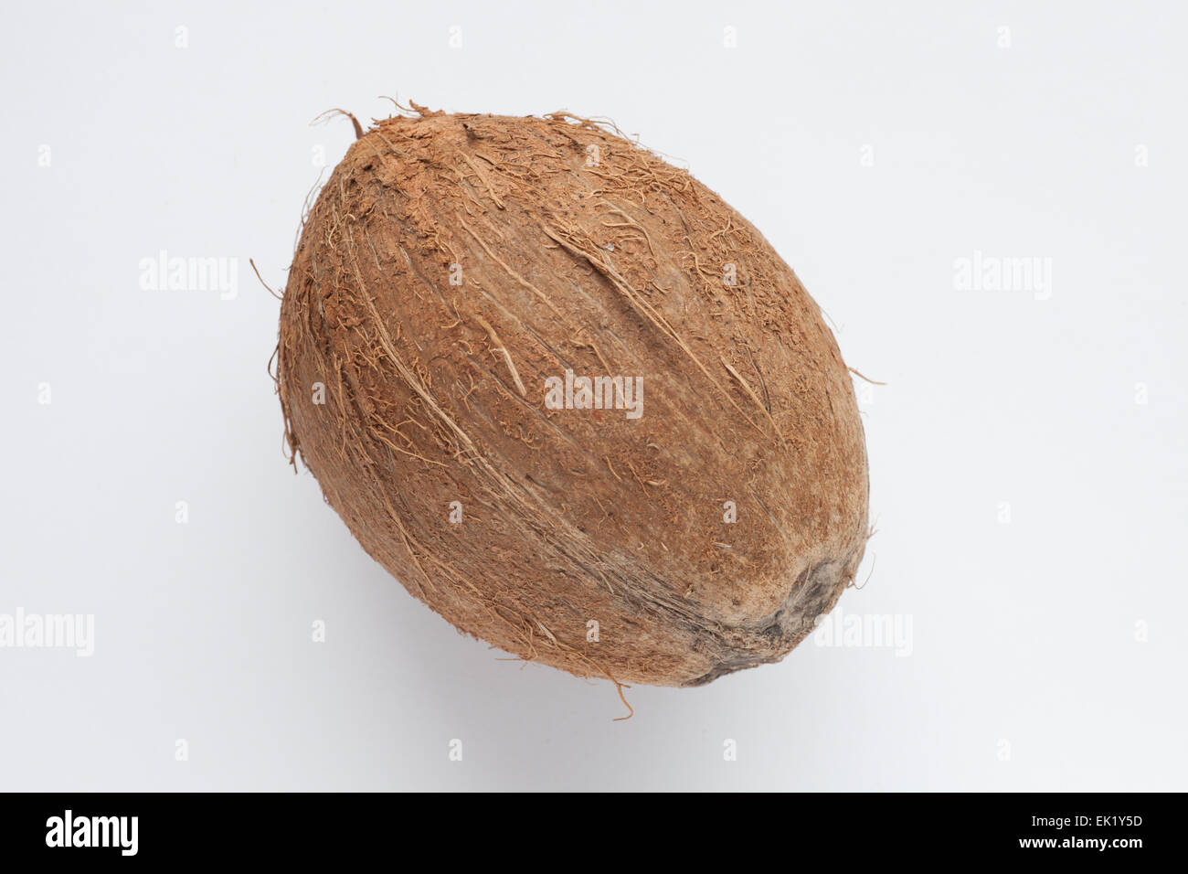 Ripe big coconut on white background Stock Photo - Alamy