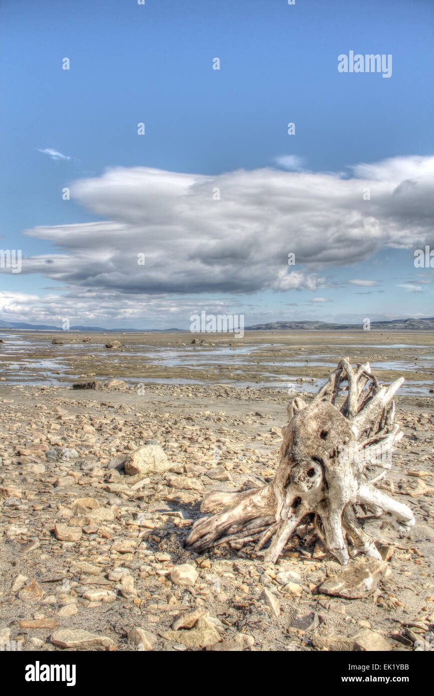 Summer arctic landscape with lake, mountains and dry tree root Stock ...