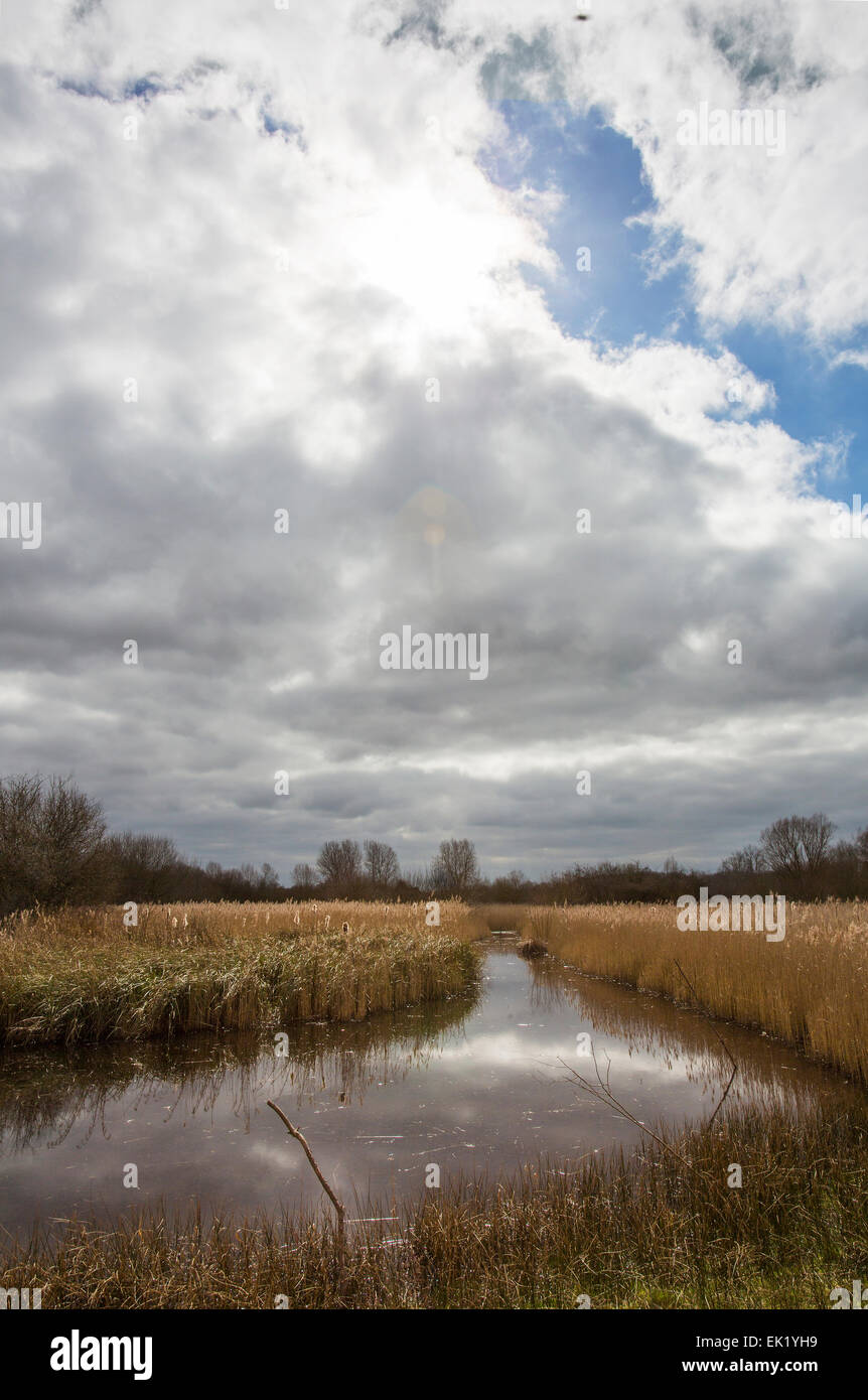 Fowlmere hi-res stock photography and images - Alamy