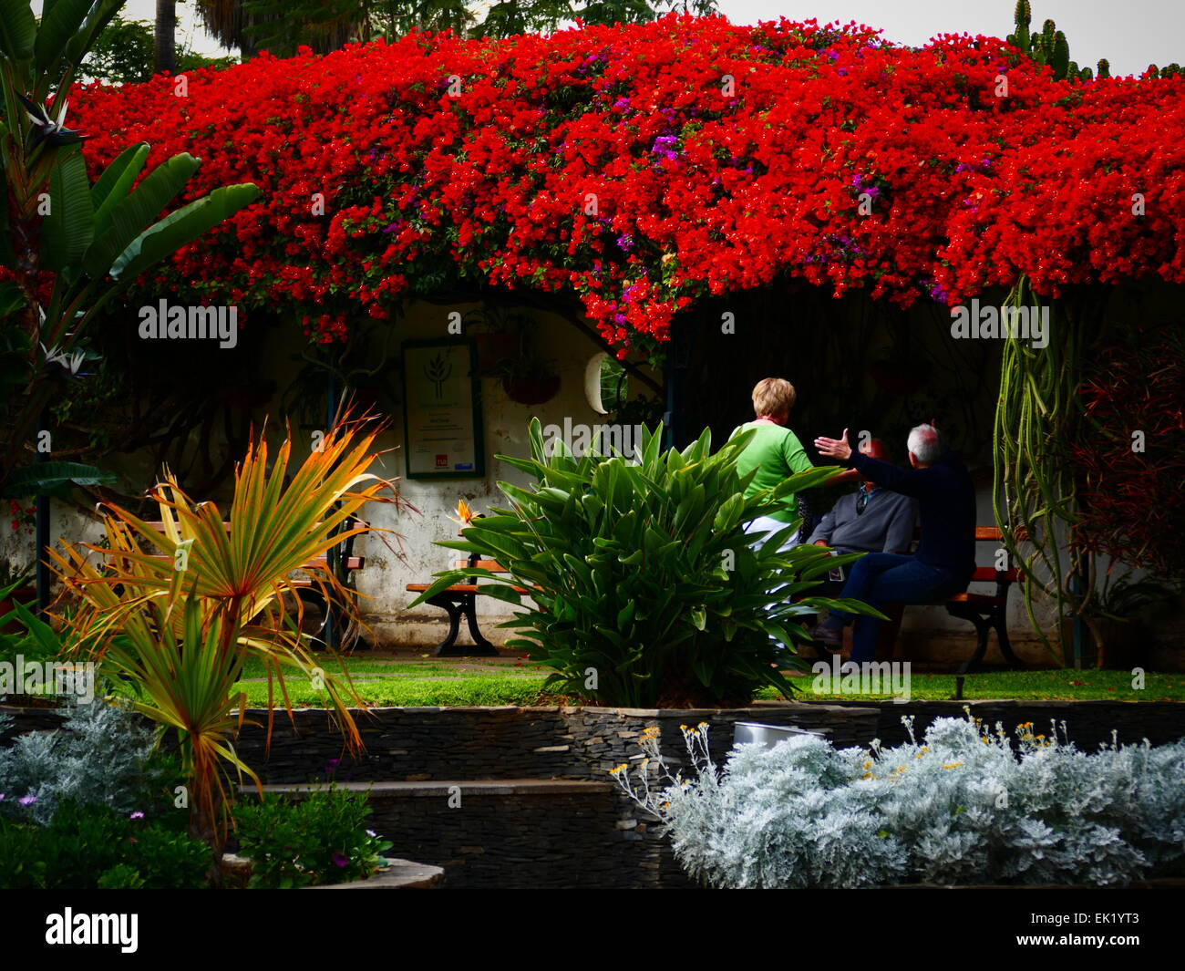 Taoro High Resolution Stock Photography and Images - Alamy