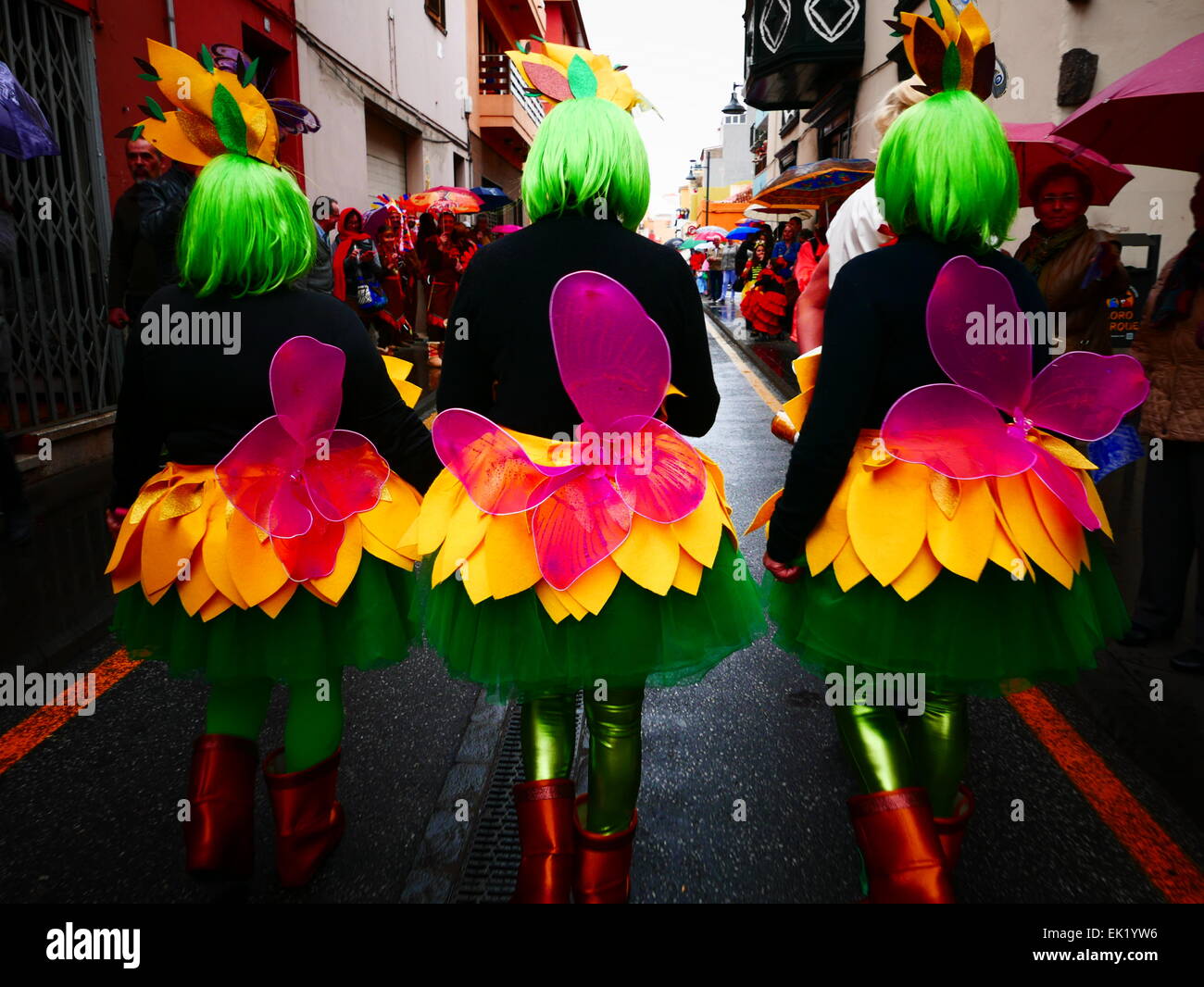 Spain Canary islands Tenerife Puerto de la Cruz carnival carnaval ...