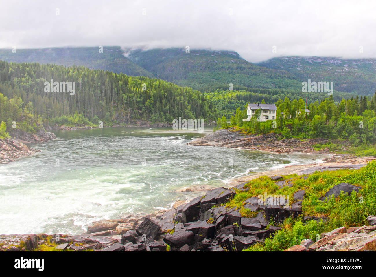 Waterfall and river in green forest in northern Norway at summer Stock ...
