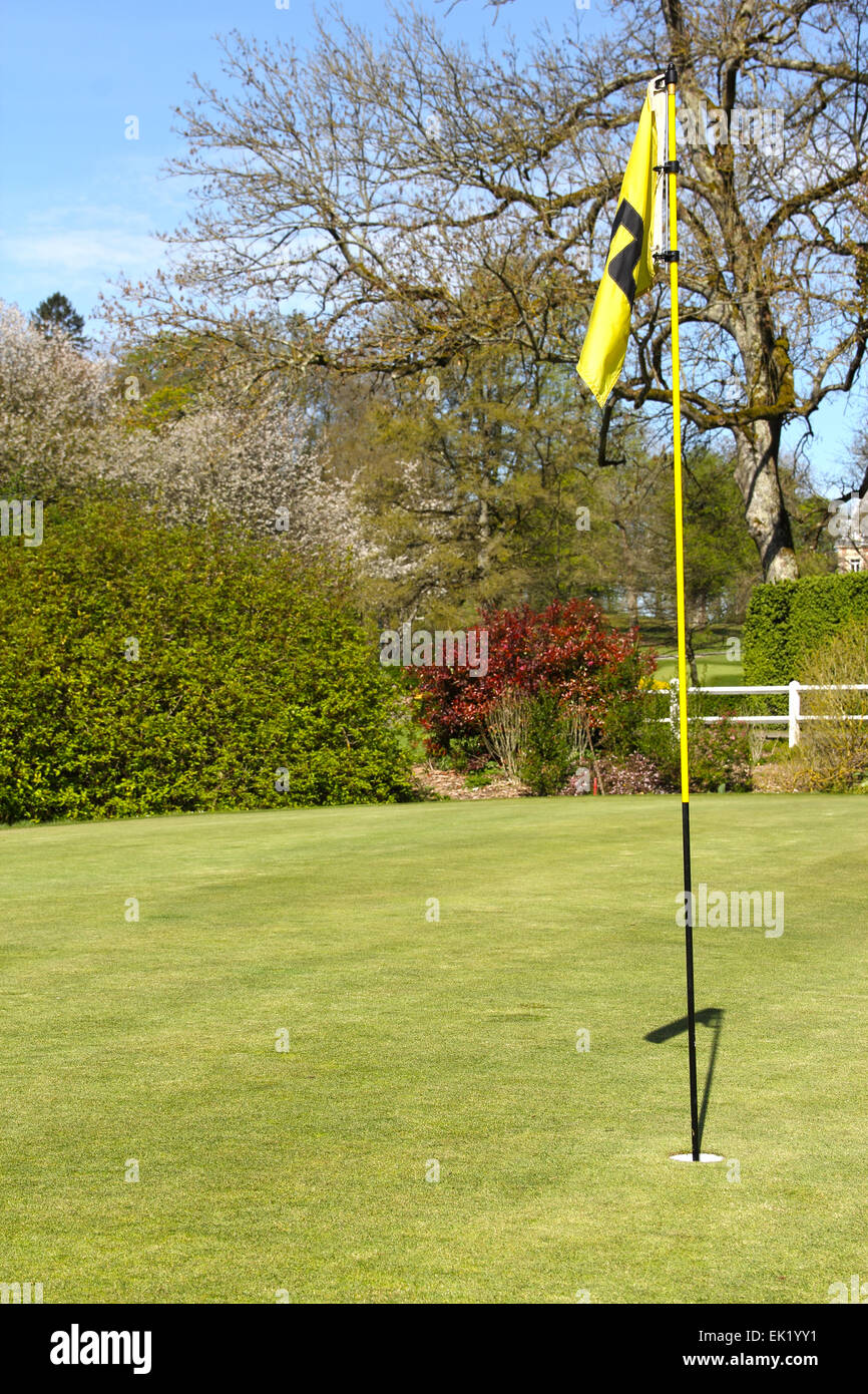 Flag on the golf field and forest on background Stock Photo - Alamy