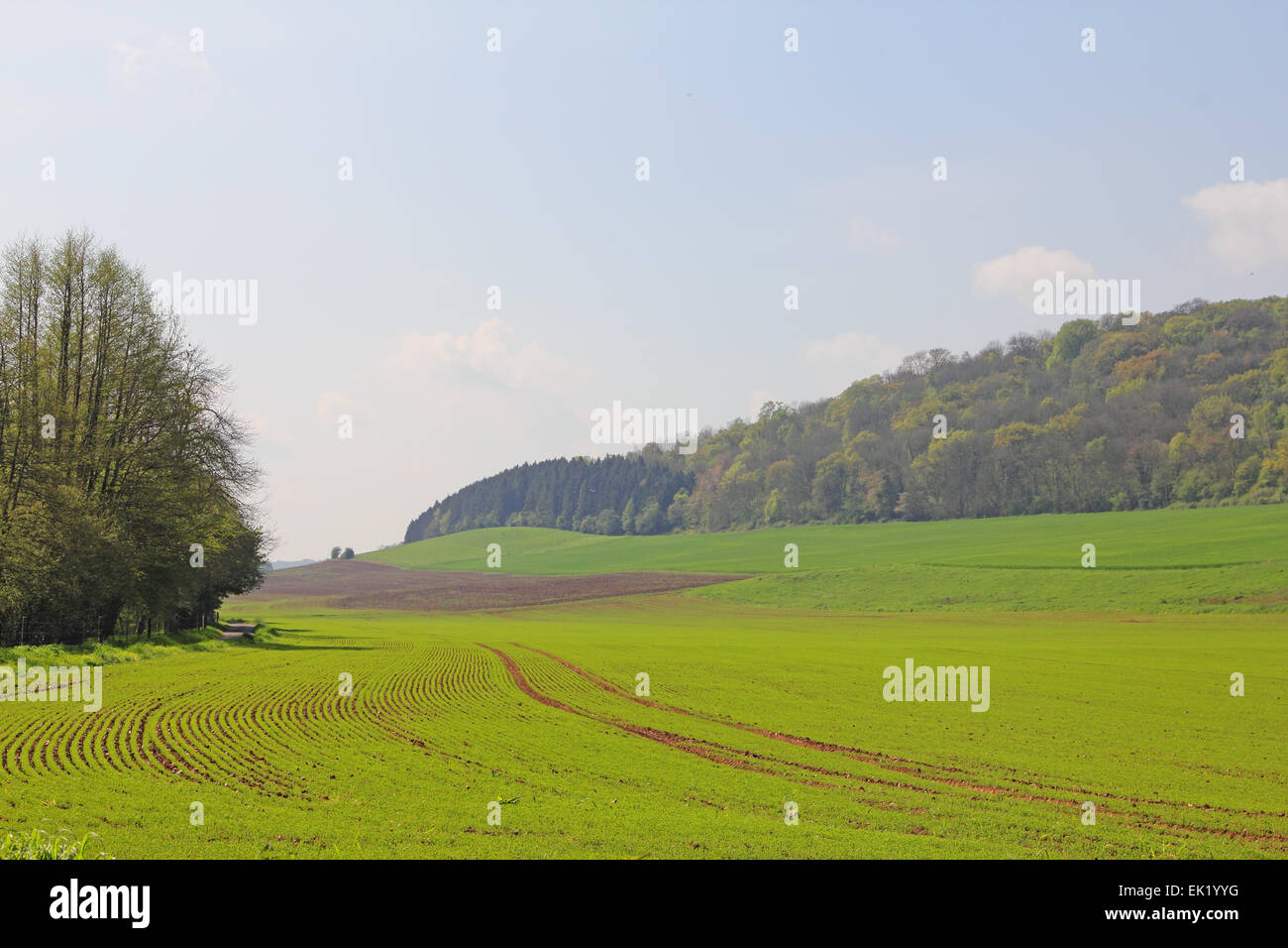 Landscaped spring field in valley of Normandy, France Stock Photo - Alamy