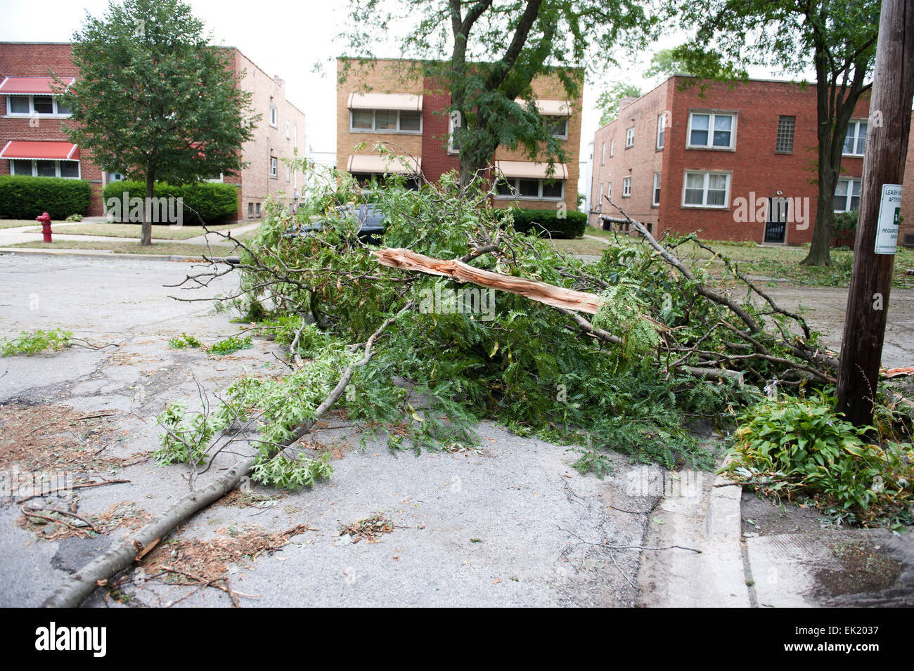 Broken bushes hi-res stock photography and images - Alamy