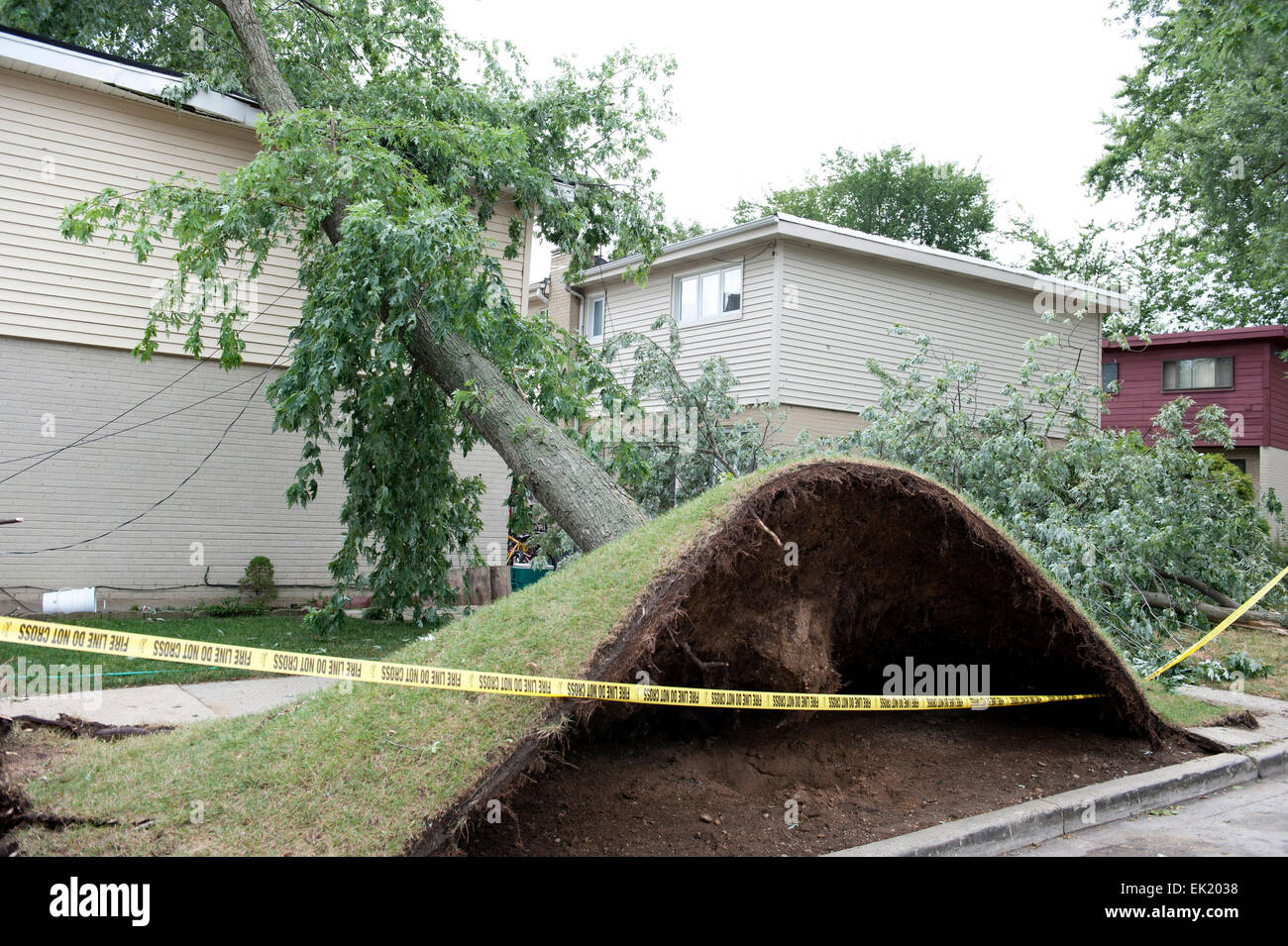 Wind damage branch hi-res stock photography and images - Alamy