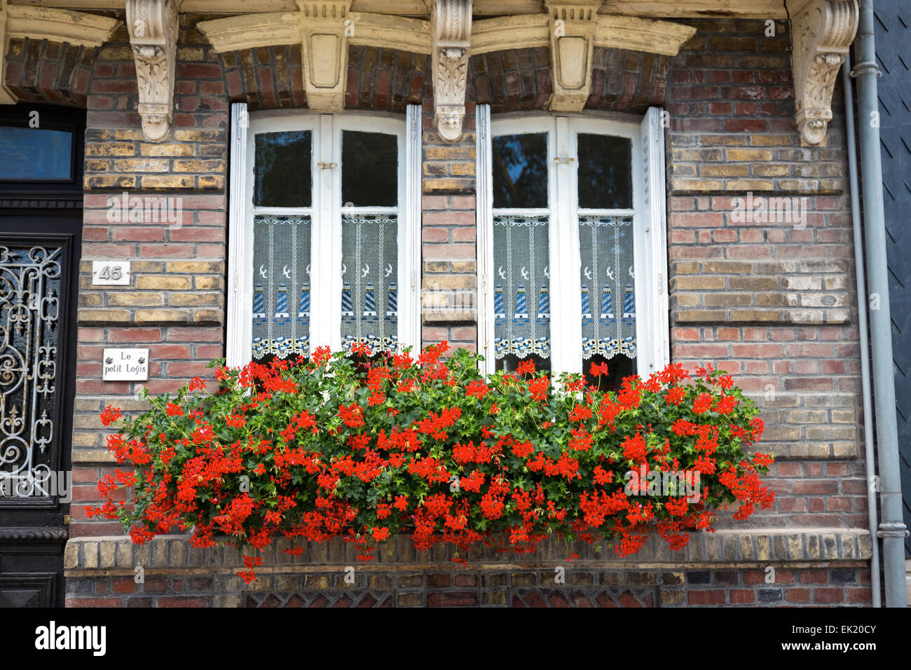 typical french window with curtains and red geranium flowers, Honfleur ...