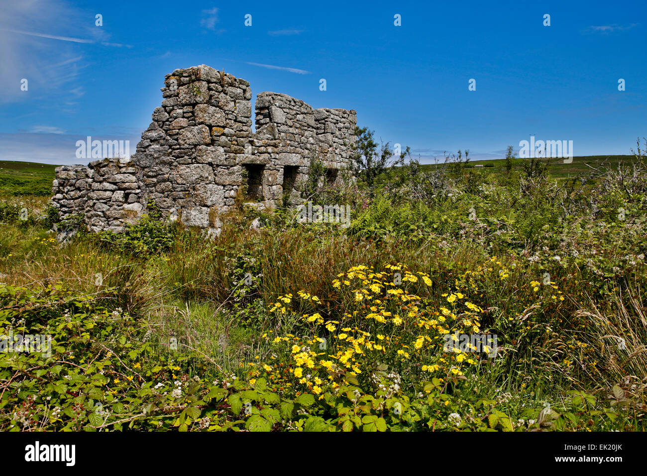 Bostraze Bog; Ruined Building Penwith; Cornwall; UK Stock Photo - Alamy