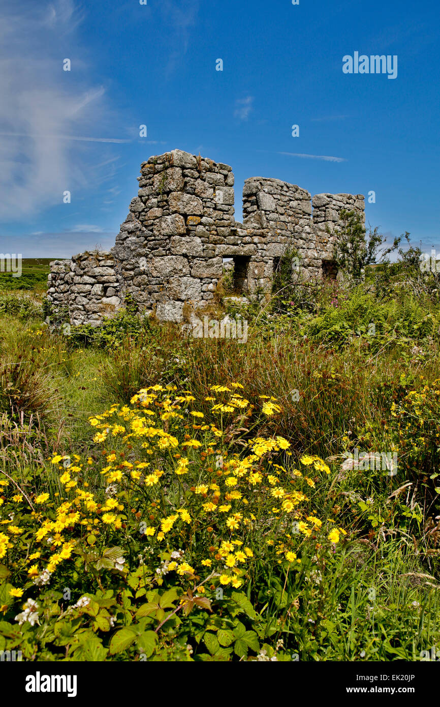 Bostraze Bog; Ruined Building Penwith; Cornwall; UK Stock Photo - Alamy
