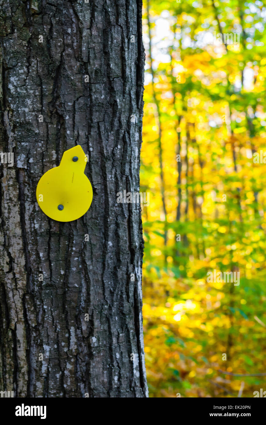 Arrow mark symbol hi-res stock photography and images - Alamy