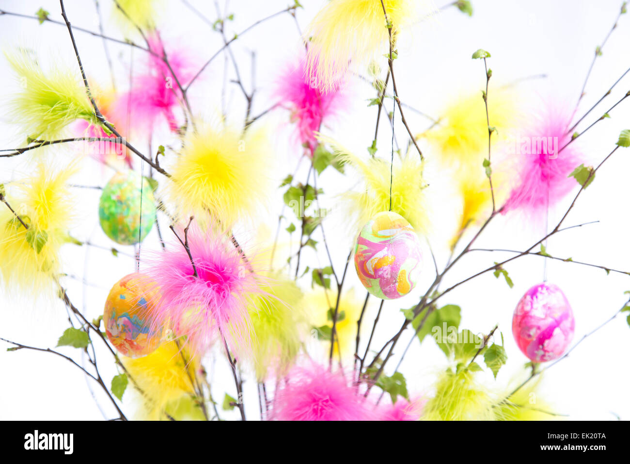 Easter Twigs with Coloured Feathers and Eggs Stock Photo - Alamy