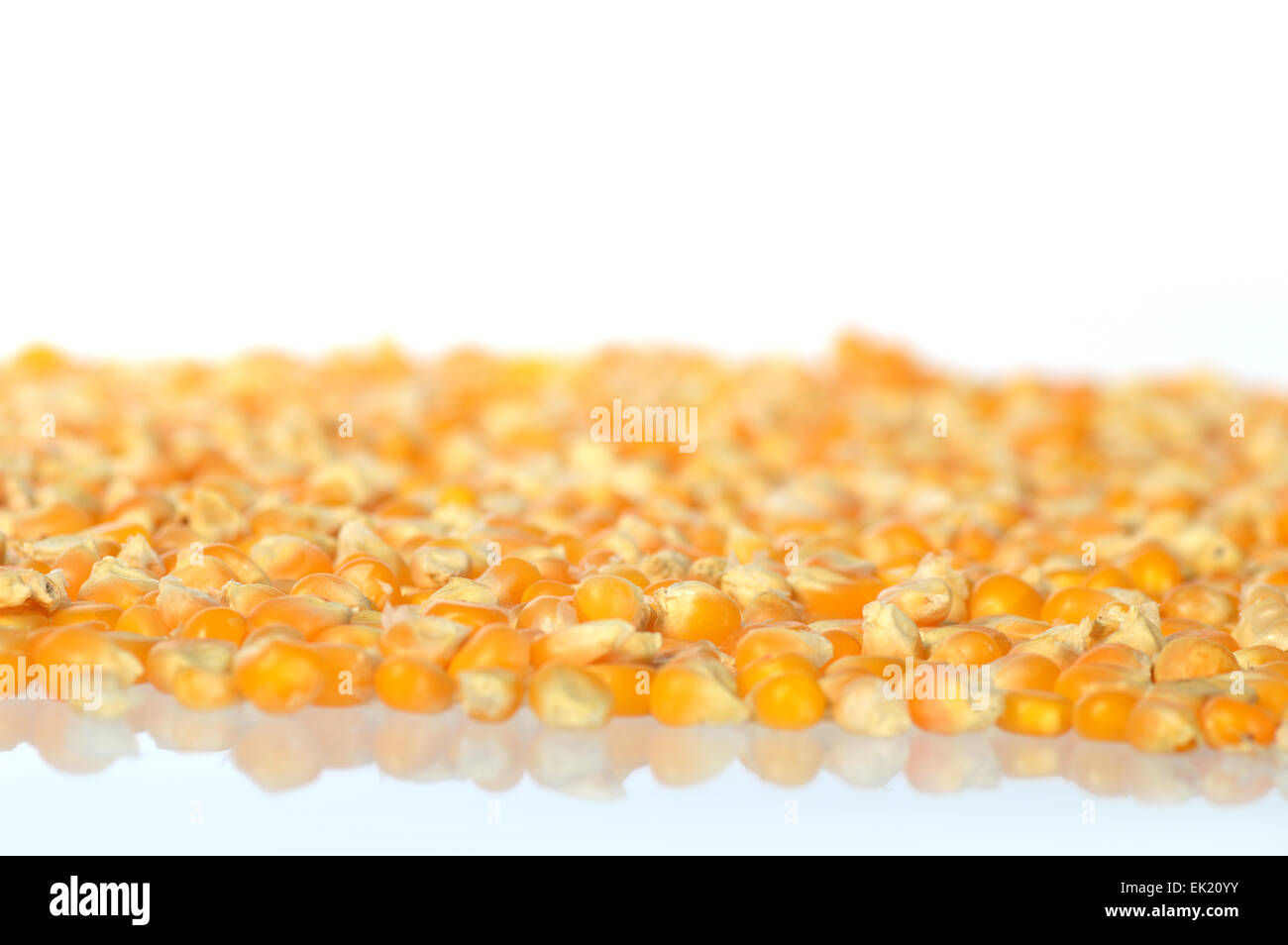 Dried corn used for making popcorn Stock Photo - Alamy