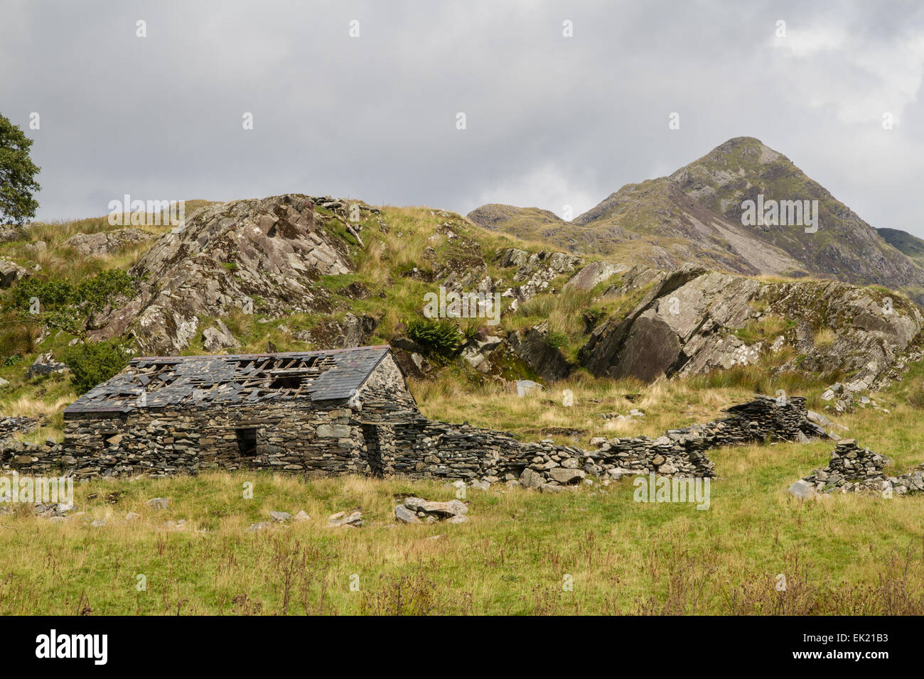 Mountain Cnicht in Croesor Valley, Snowdonia. Derelict stone cottage or ...