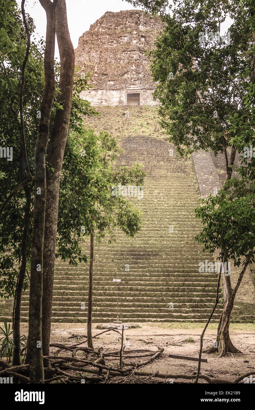 temple V, Tikal, Guatemala Stock Photo - Alamy