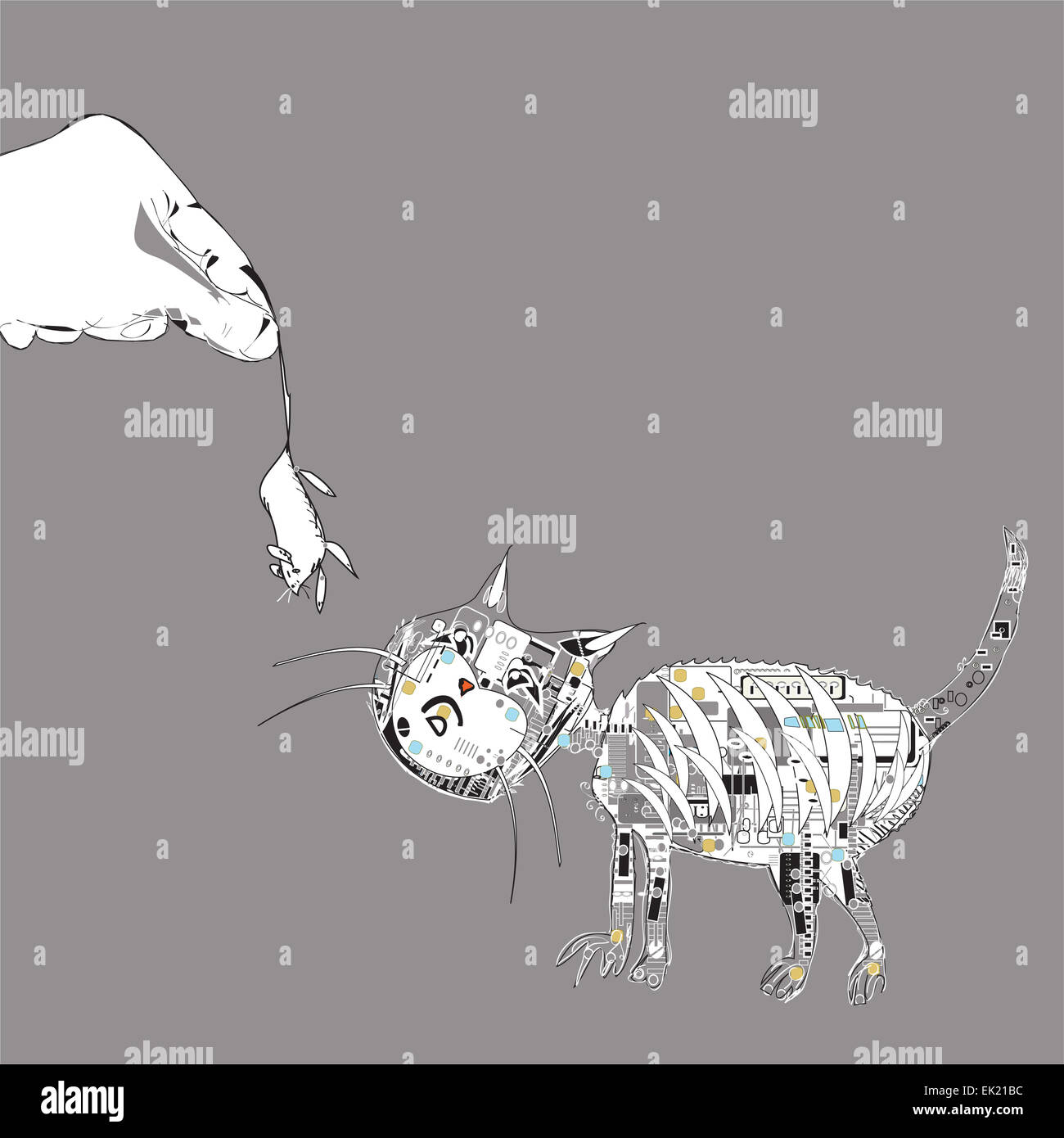 Cat computer mouse animal hi-res stock photography and images - Alamy