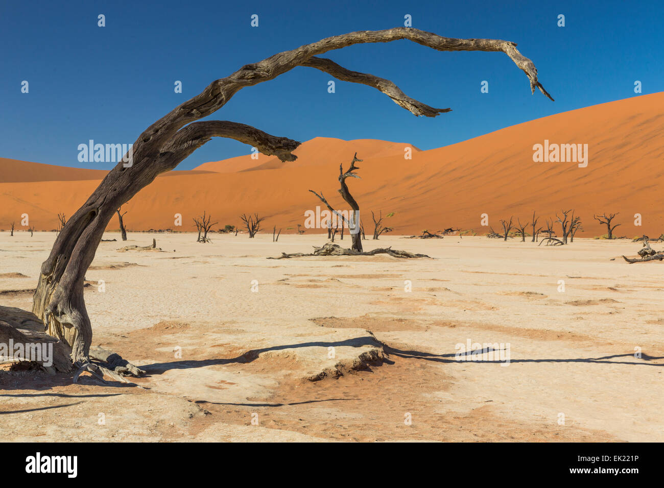 Sossusvlei hi-res stock photography and images - Alamy