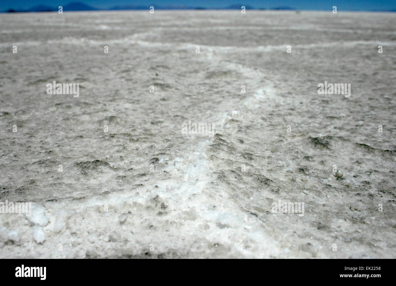Uyuni, Bolivia. 17th Oct, 2009. The salt crust of the Salar de Uyuni ...