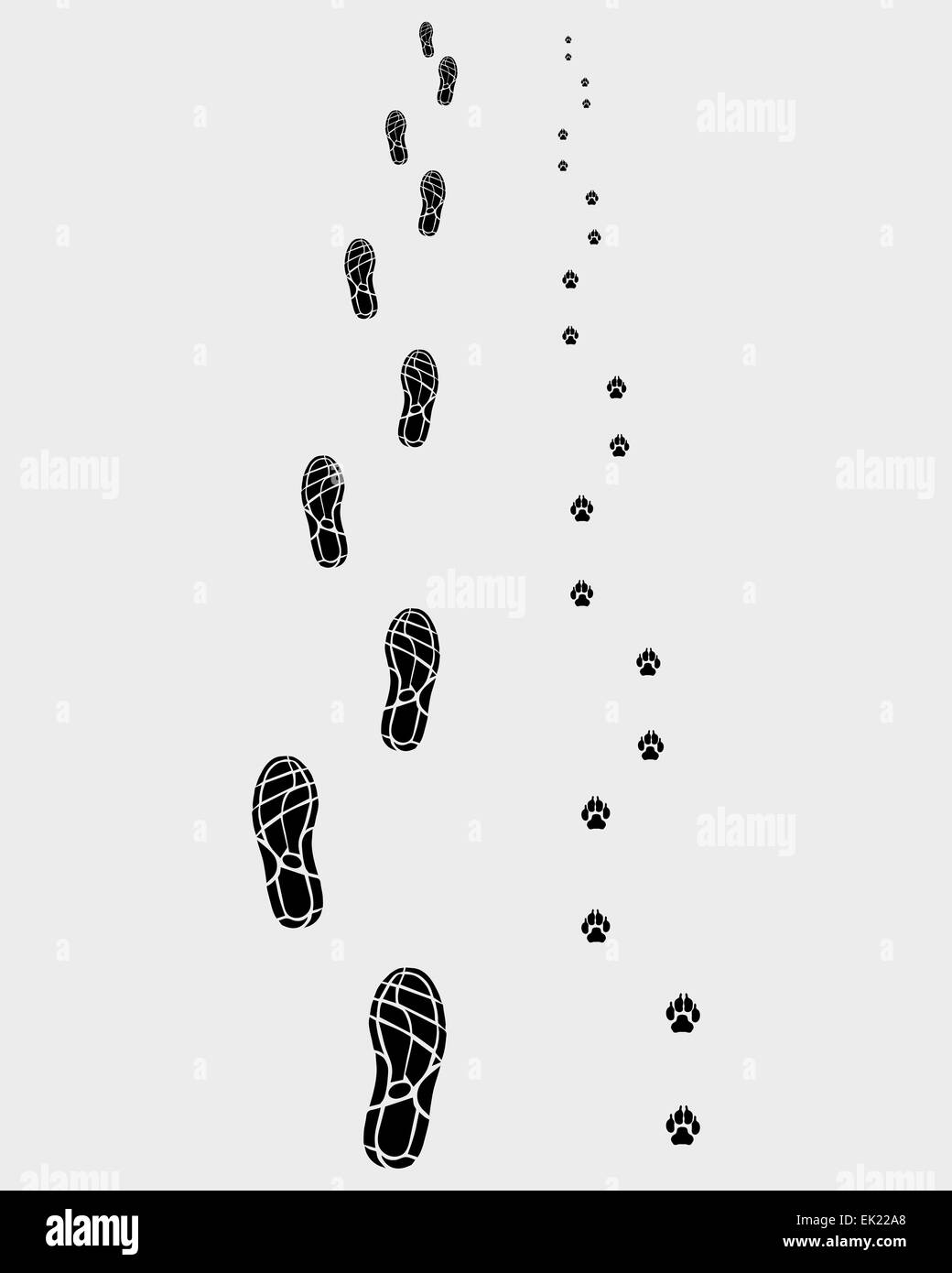 Human and dog footprints hi-res stock photography and images - Alamy