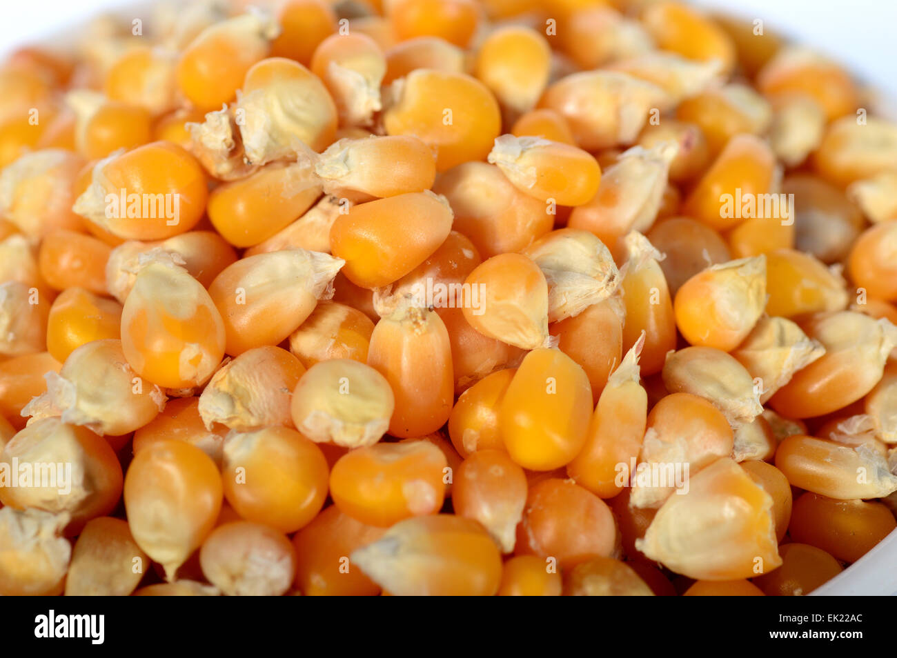 Dried corn used for making popcorn Stock Photo - Alamy