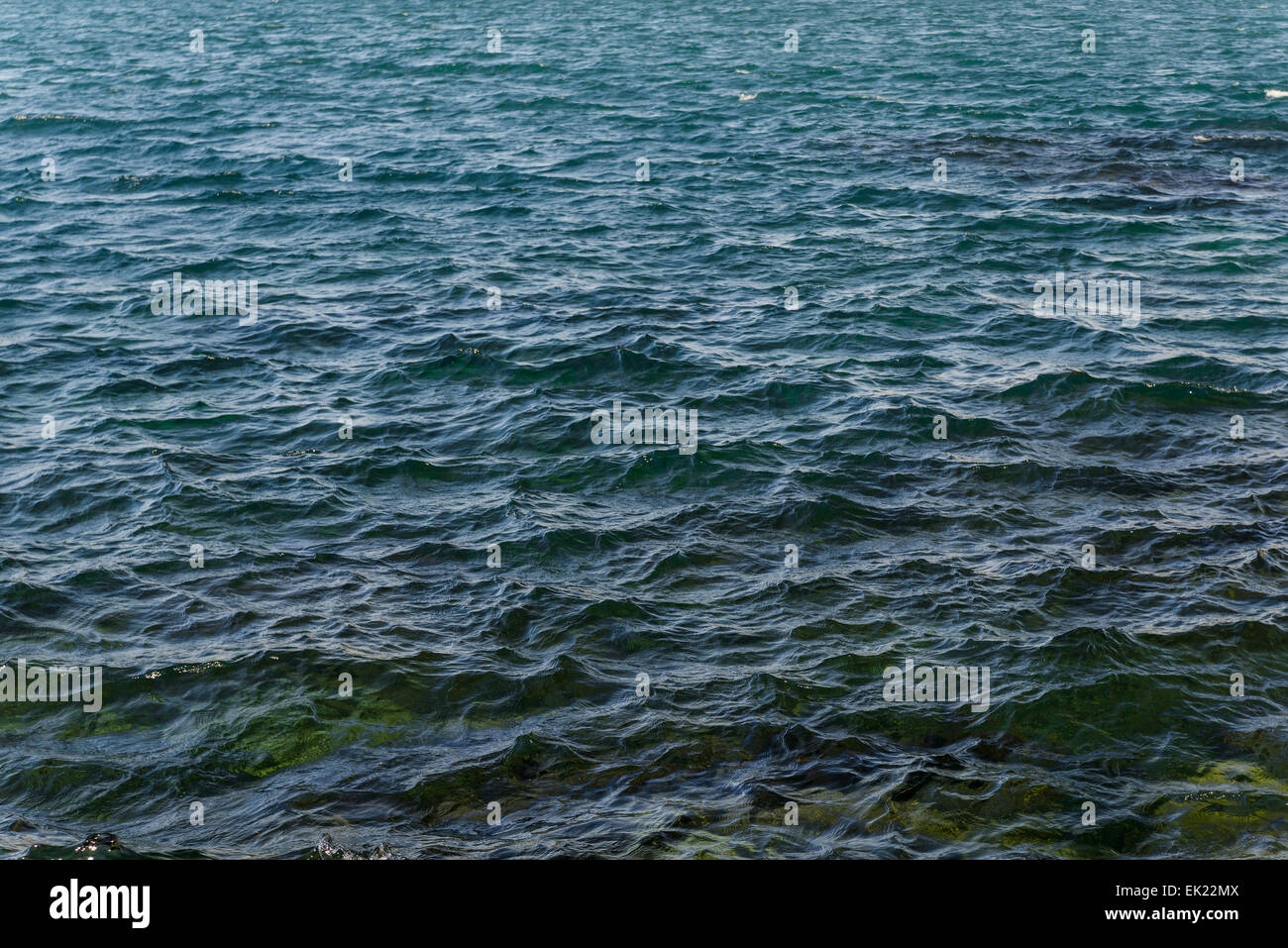 Cold sea foam hi-res stock photography and images - Alamy