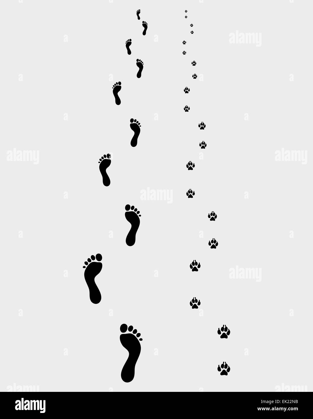 Human and dog footprints hi-res stock photography and images - Alamy