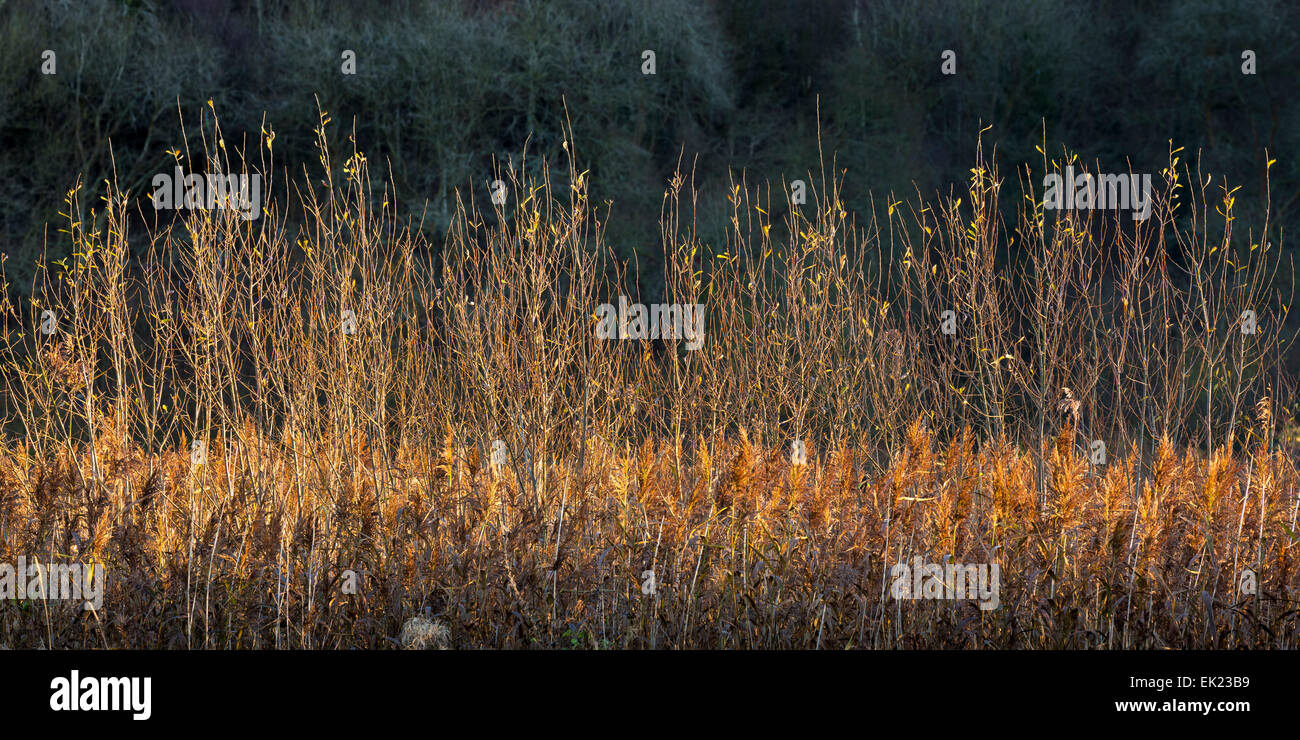 Arnside point hi-res stock photography and images - Alamy