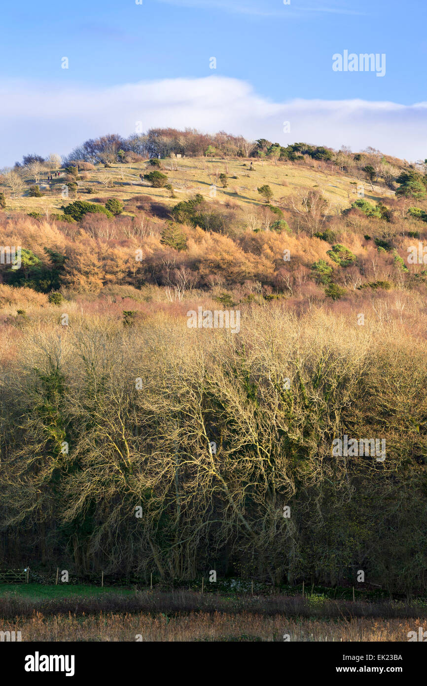 Arnside knott cumbria hi-res stock photography and images - Alamy