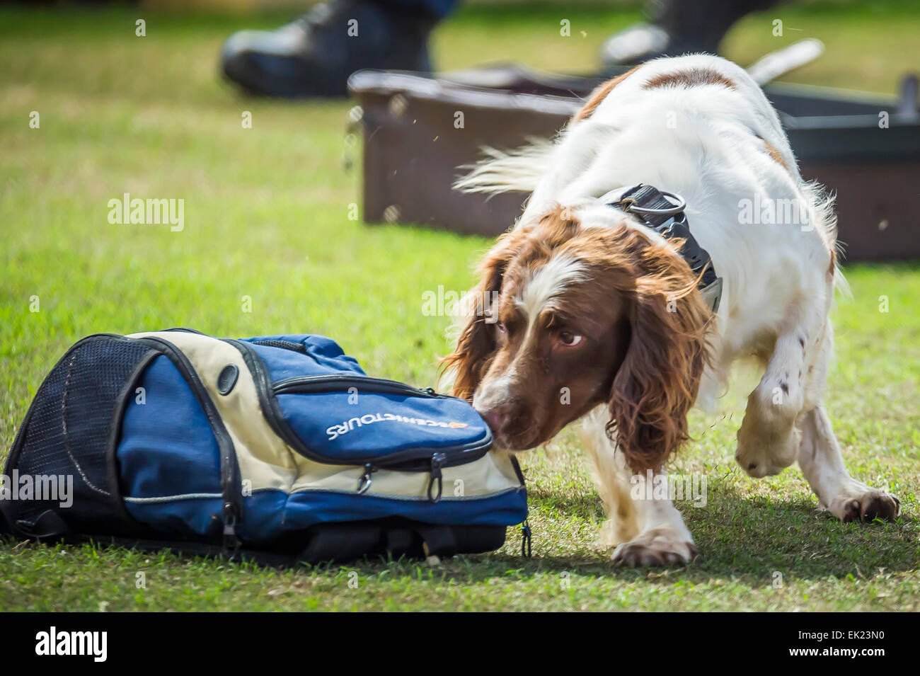 Police dog unit hi-res stock photography and images - Alamy