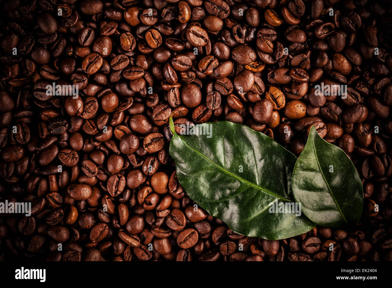 Coffee beans shot from aerial view with coffee leaves Stock Photo - Alamy