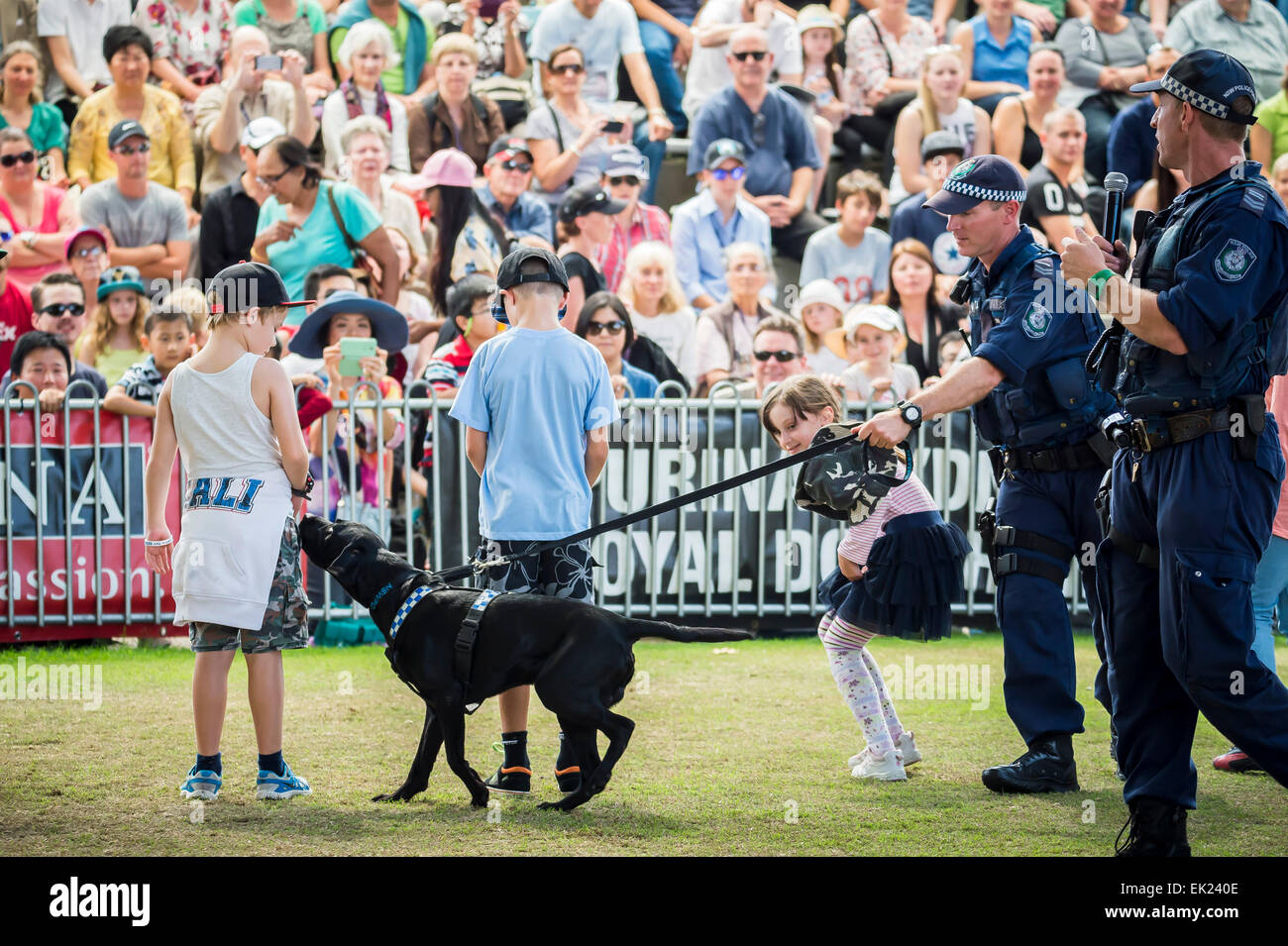 Police dog display australia hi-res stock photography and images - Alamy