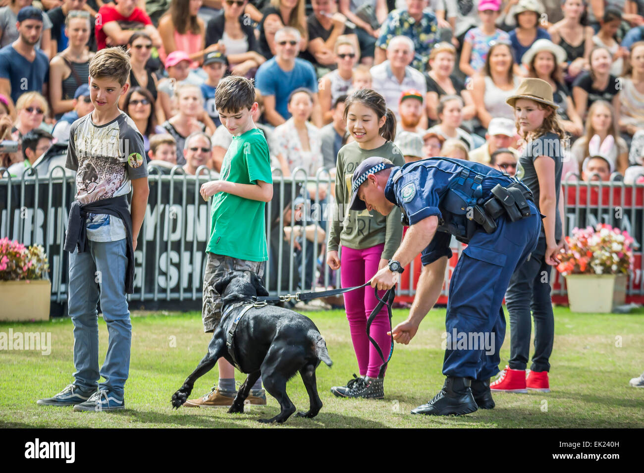Nsw police dog hi-res stock photography and images - Alamy