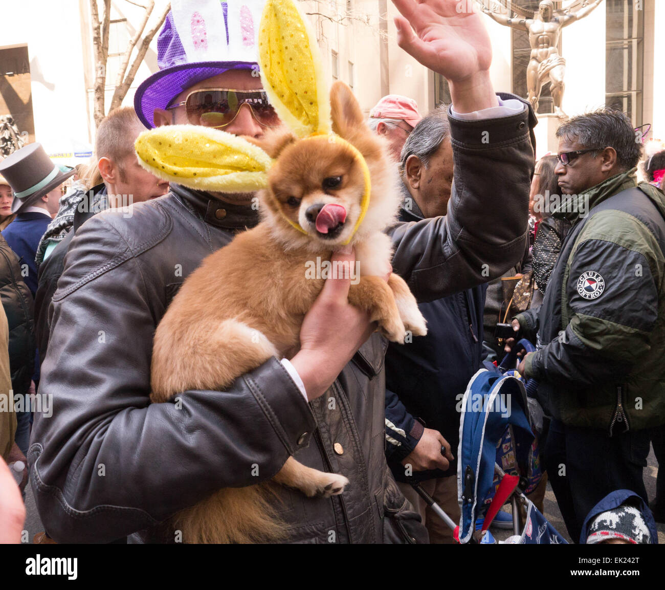 New York, USA. 5th April, 2015. A man dressed up with a dog in Bunny ...