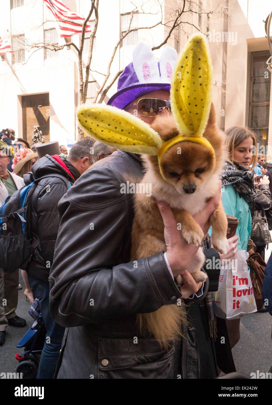 New York, USA. 5th April, 2015. A man dressed up with a dog in Bunny ...