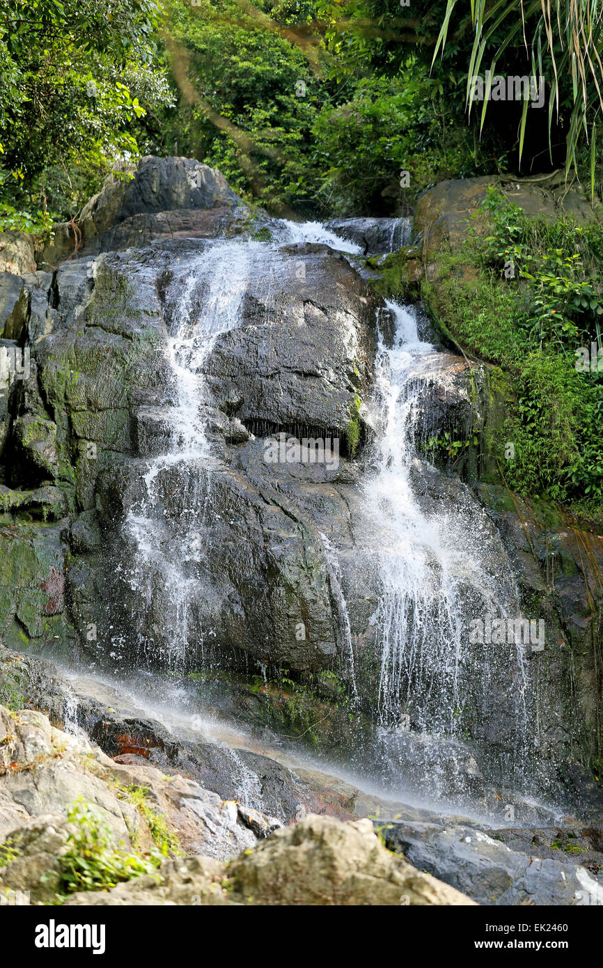 Beautiful river in forest close hi-res stock photography and images - Alamy