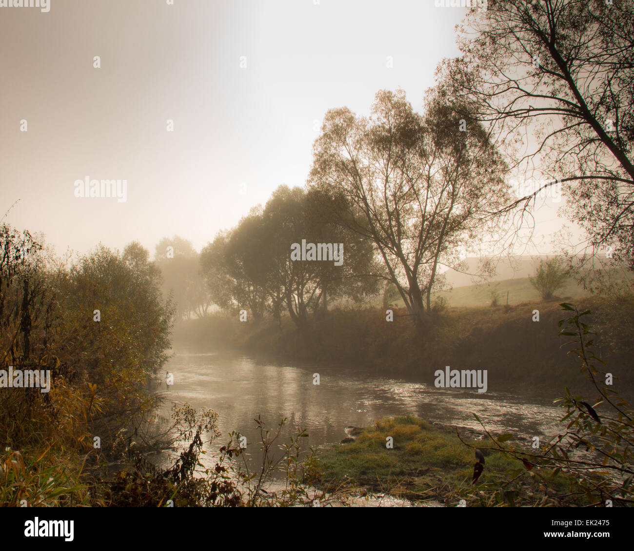 Small river on a foggy autumn morning with trees Stock Photo - Alamy
