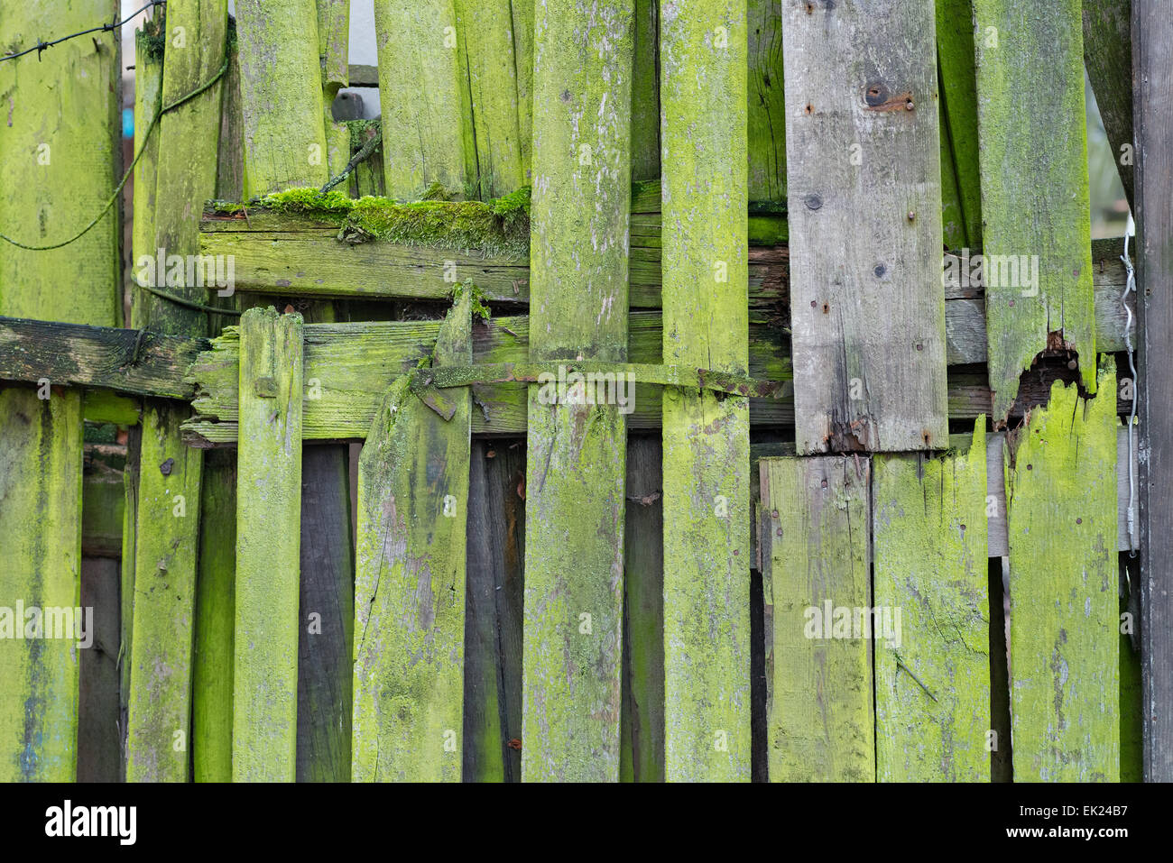 Light green wood planks vintage or grunge texture Stock Photo - Alamy