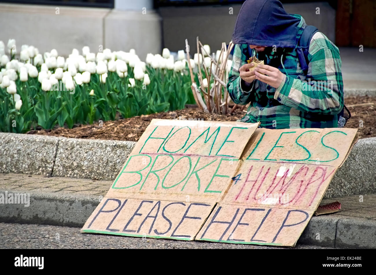 Homeless Man And Sign High Resolution Stock Photography and Images - Alamy