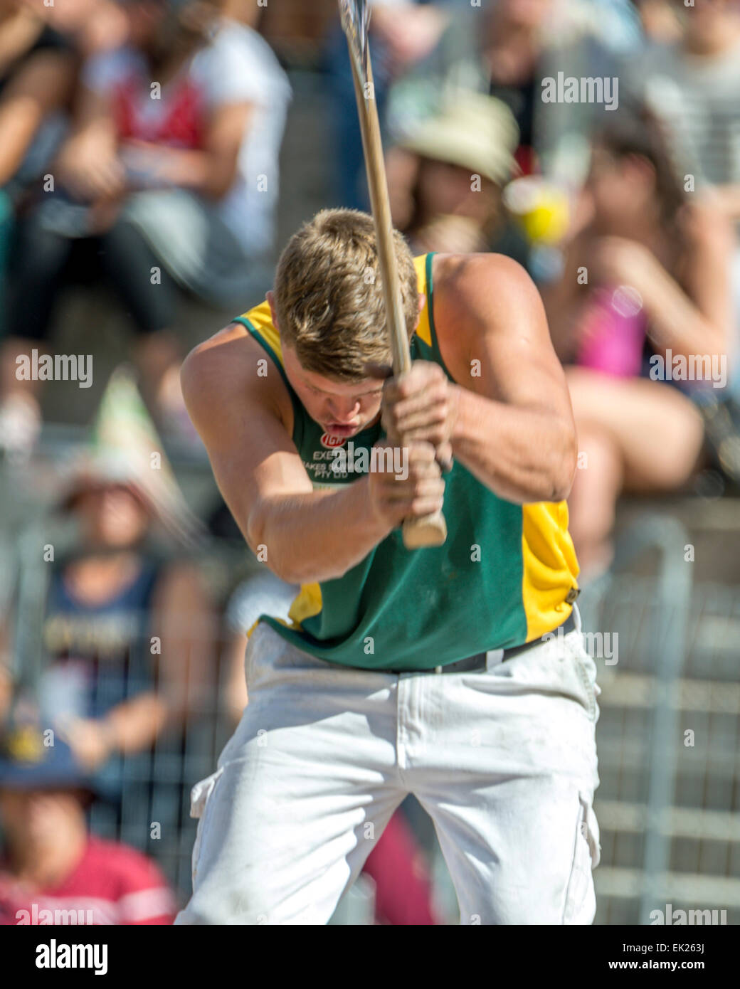 Woodchopping at the royal easter show hi-res stock photography and ...