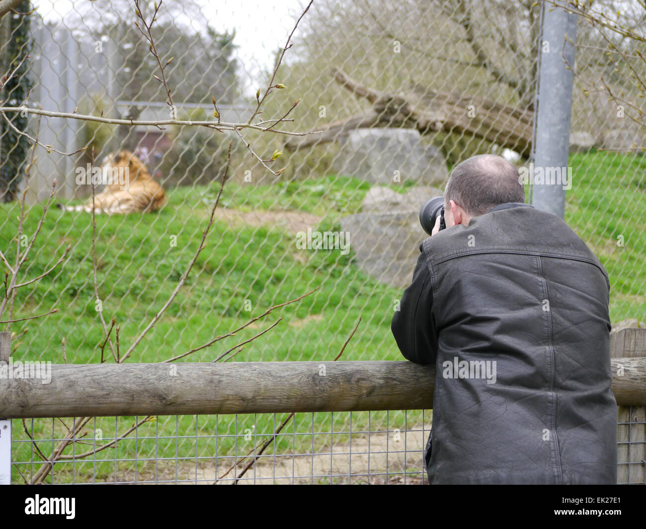 Zoo photos visitors hi-res stock photography and images - Alamy