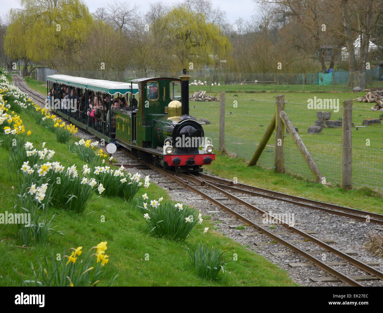 Marwell Wildlife Railway, Marwell Zoo, Hampshire, England Stock Photo ...