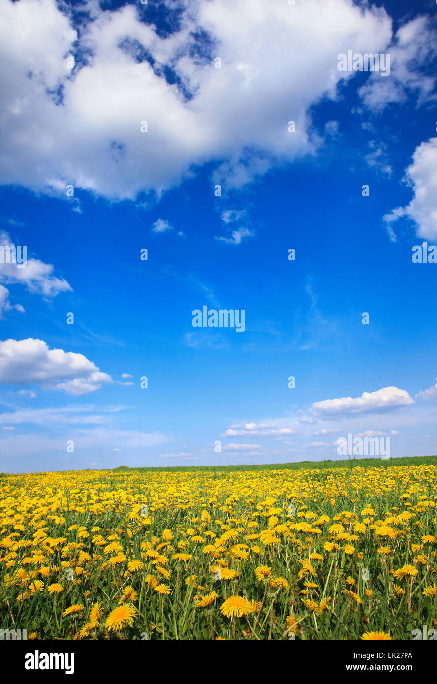 Beautiful landscape field trees blue hi-res stock photography and ...