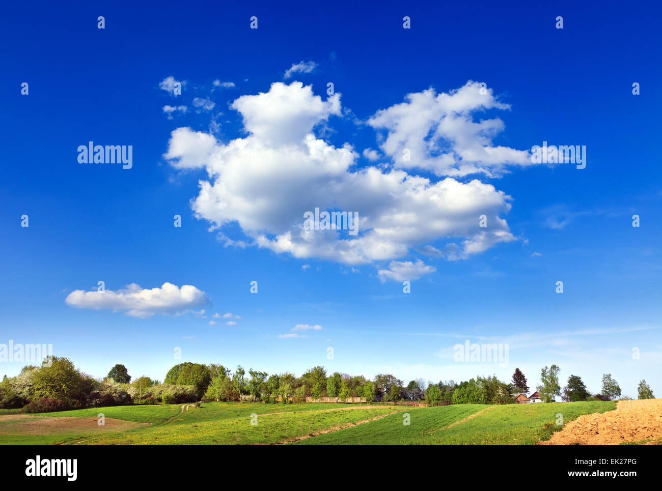 landscape of blue sky Stock Photo - Alamy