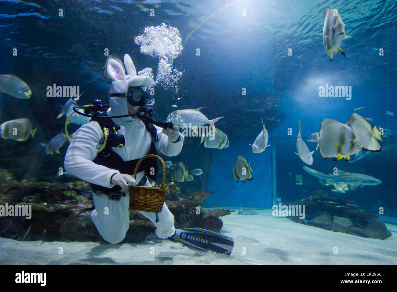 Dressed as a bunny hi-res stock photography and images - Alamy