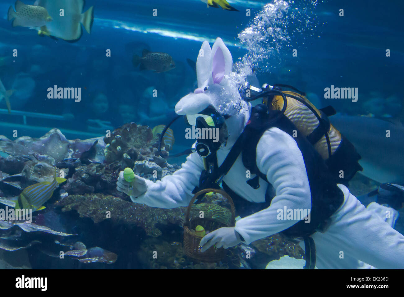 Dressed as a bunny hi-res stock photography and images - Alamy