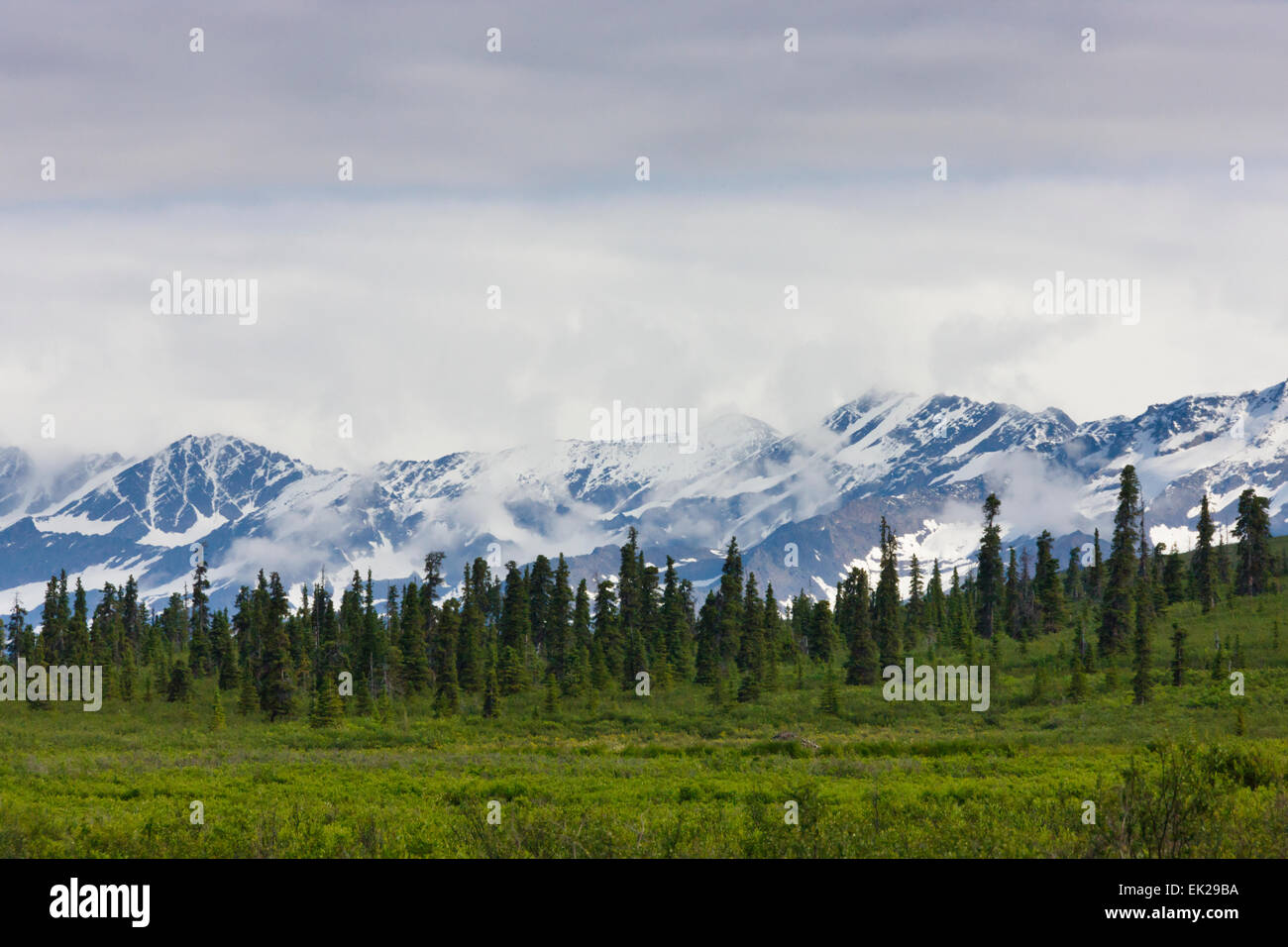 Denali mountain range hi-res stock photography and images - Alamy
