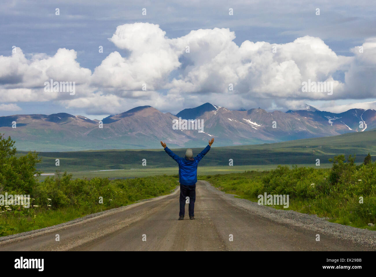 Tourist cheering with arms up on Denali Highway, Alaska Range in the ...