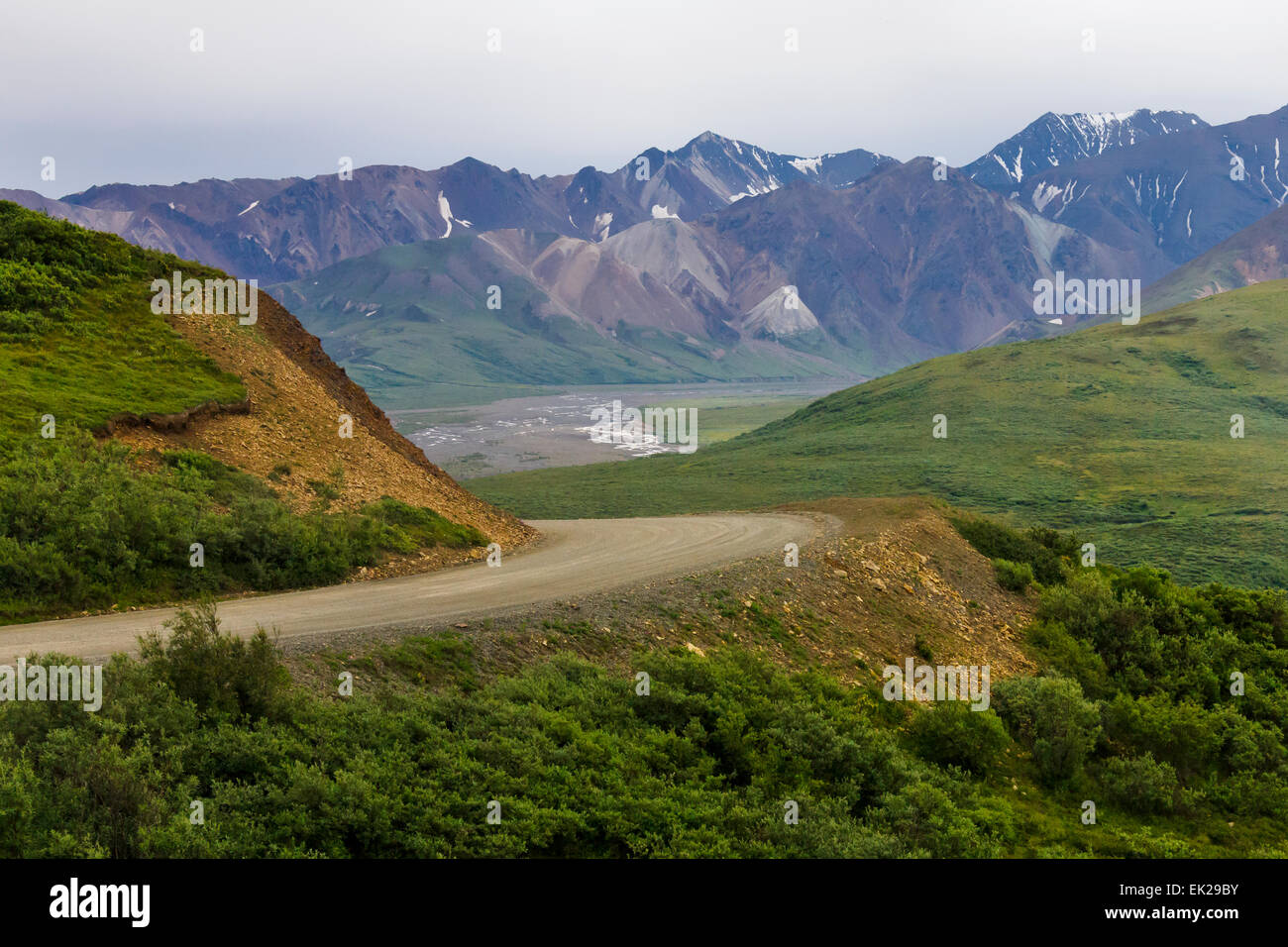 Road built on steep mountain slope, Denali National Park, Alaska, USA ...