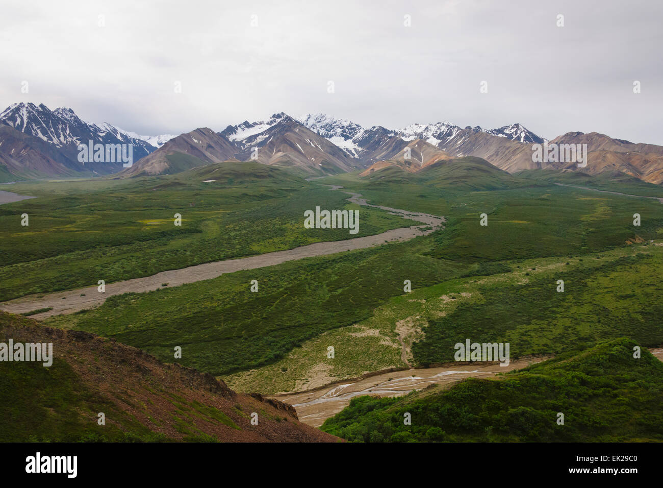 Alaska Range and tundra, Denali National Park, Alaska, USA Stock Photo ...