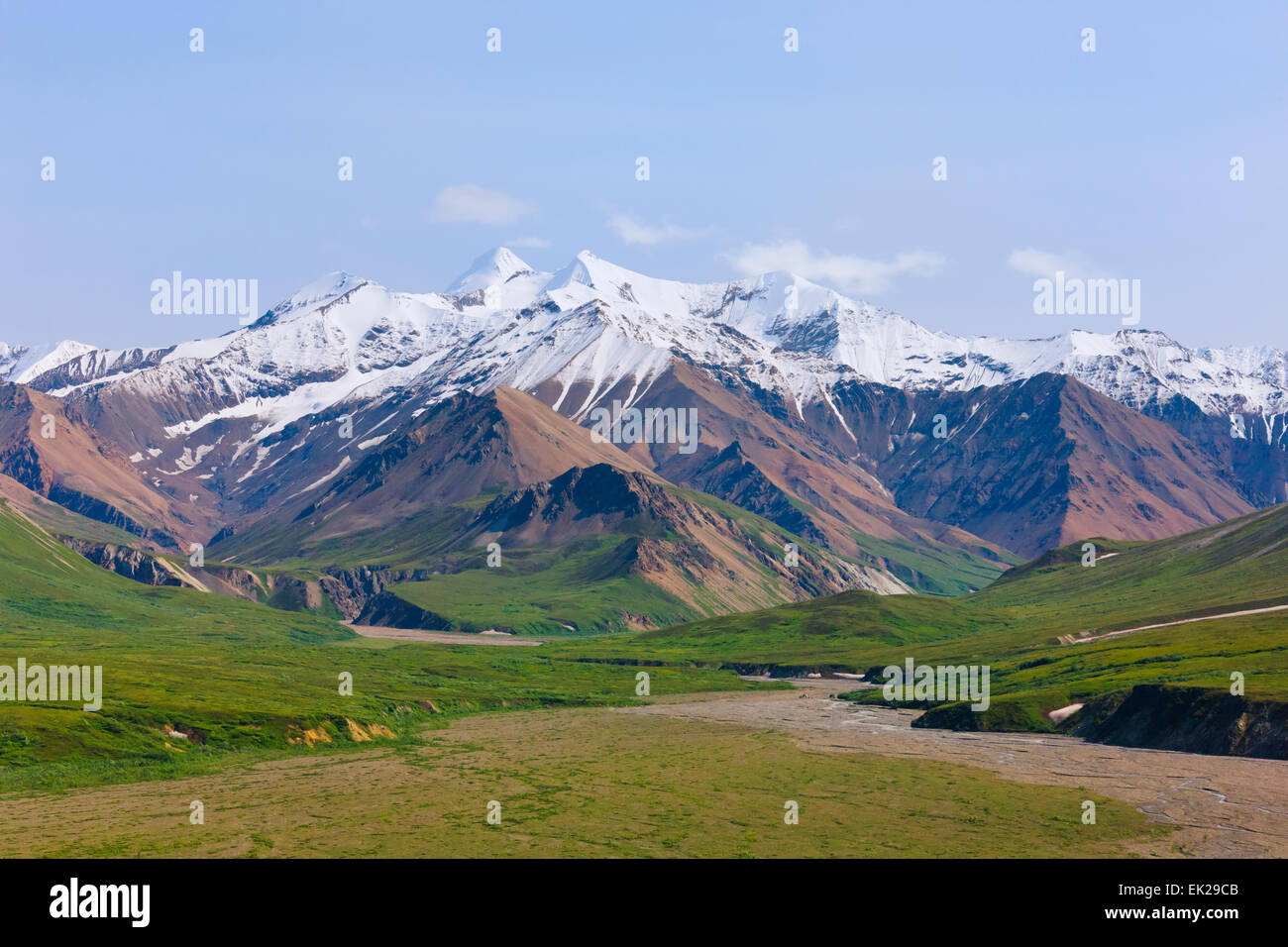 Tundra mountain range denali hi-res stock photography and images - Alamy